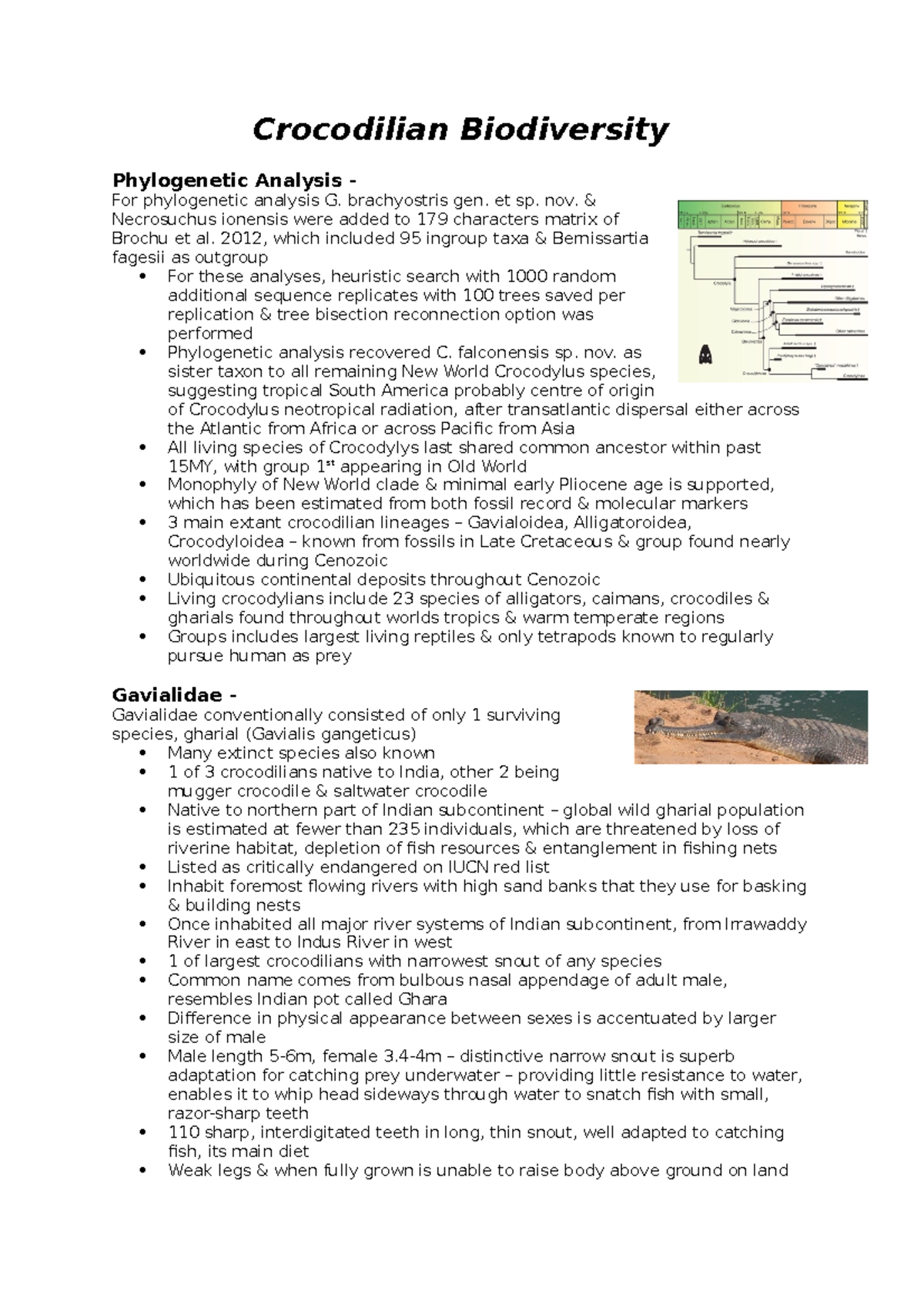 Crocodilian Biodiversity - Crocodilian Biodiversity Phylogenetic ...