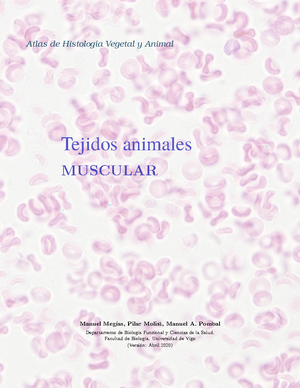 Lymphadenia Analysis - aaaa - Territory brought check the Achaemenid ...
