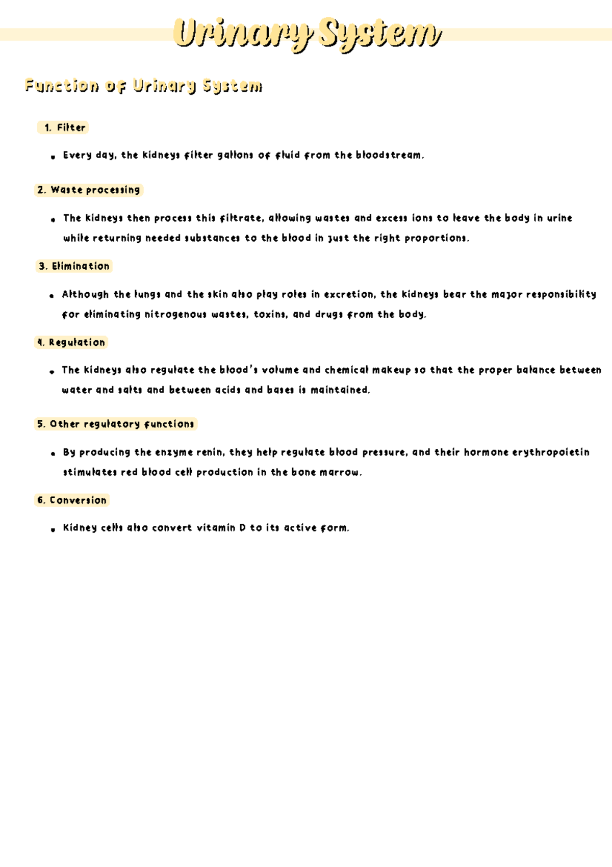 Urinary system - notes - Function of Urinary SystemFunction of Urinary ...