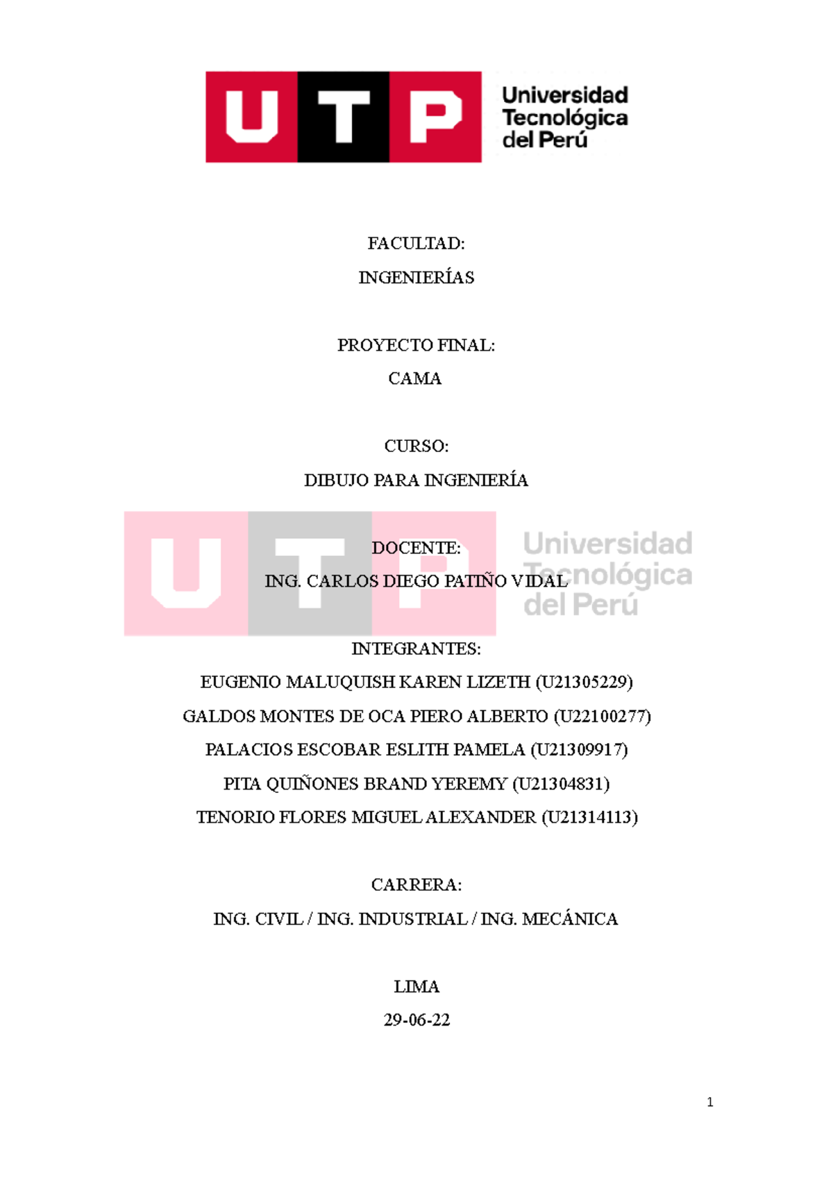 Trabajo Final Dibujo - FACULTAD: INGENIERÍAS PROYECTO FINAL: CAMA CURSO ...