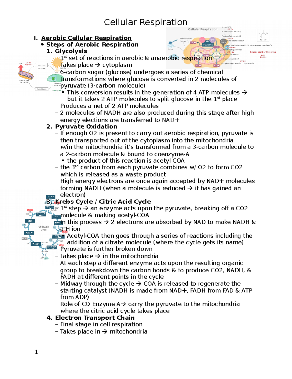 Cellular Respiration Notes - I. Aerobic Cellular Respiration Steps of ...