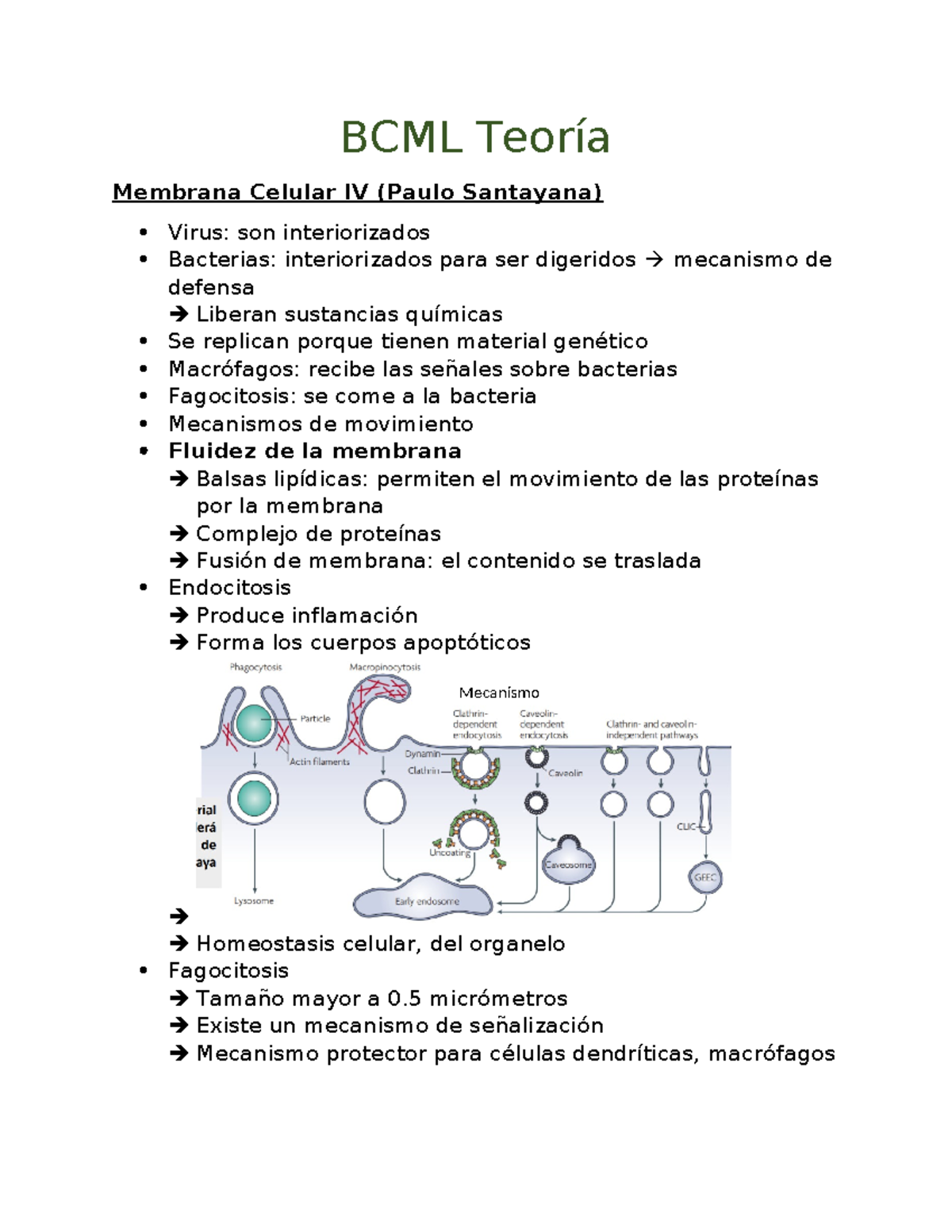 BCML TEMA 4 - Membrana Celular 4 - BCML Teoría Membrana Celular IV (Paulo Santayana) Virus: son ...