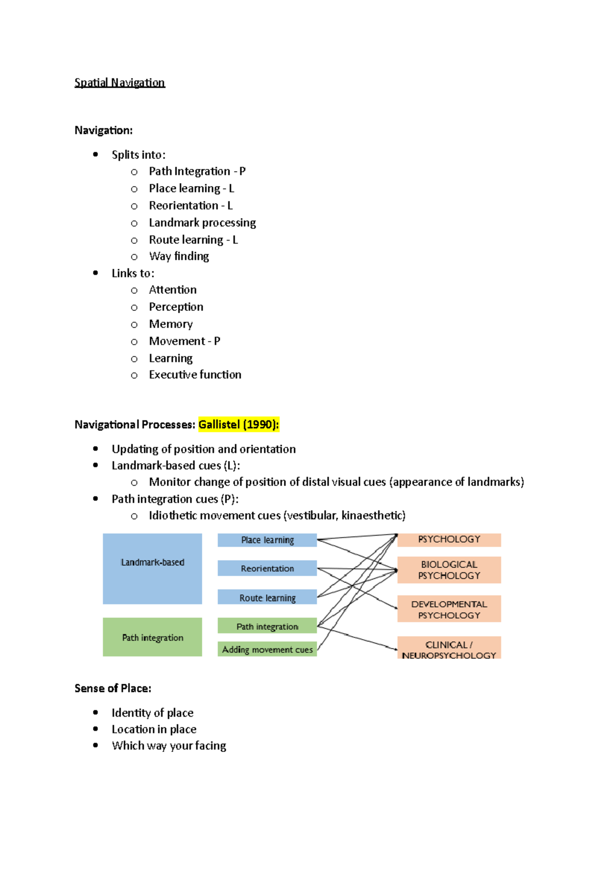 Spatial Navigation - Spatial Navigation Navigation: Splits into: o Path ...