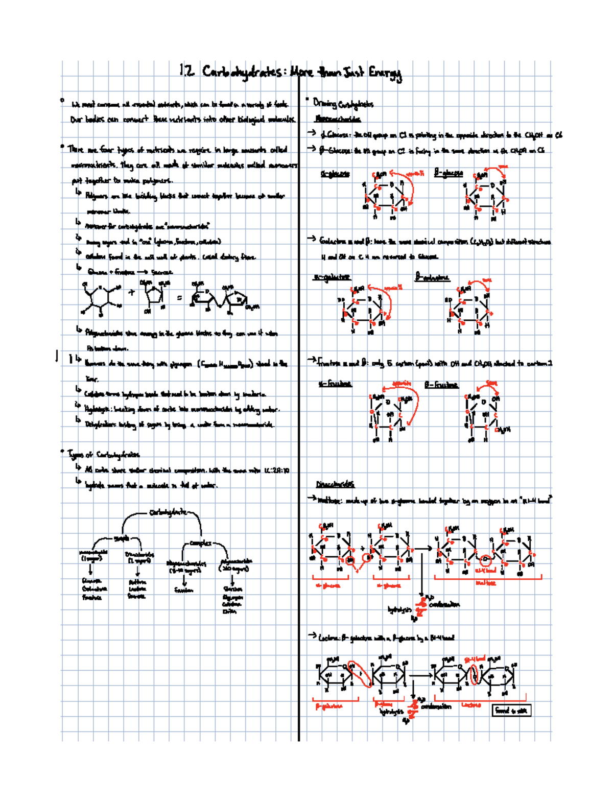 SBI4U - 1.2 Carbohydrates - 1 Carbohydrates MorethanJustEnergy - Studocu