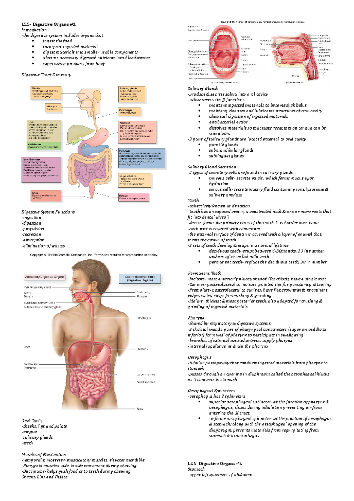 Revision L25-27 - Lecture notes 25-27 - L25- Digestive Organs ...