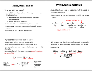 BIO462-Lesson Plan Oct24-Feb2025 - LESSON PLAN BIO462 Oct2024-Feb ...