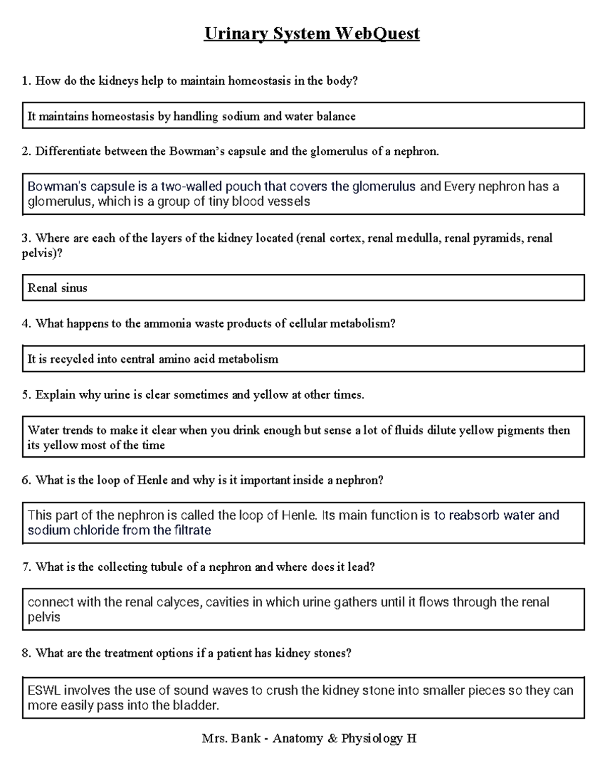Copy of Bank A&P Urinary System Web Quest - Urinary System WebQuest 1 ...