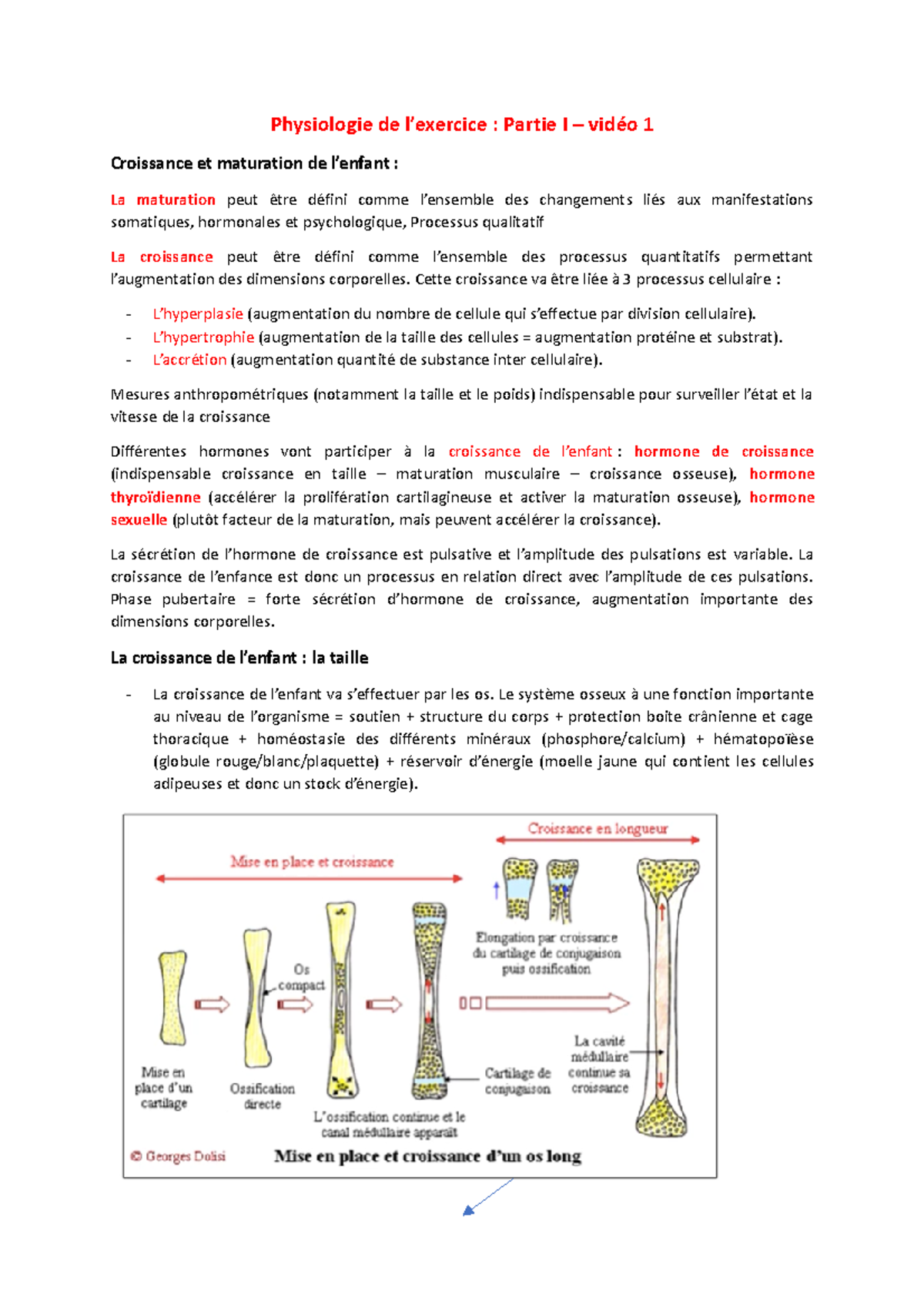 Croissance et maturation de l'enfance - Physiologie de l’exercice : Partie I – vidéo 1 ...