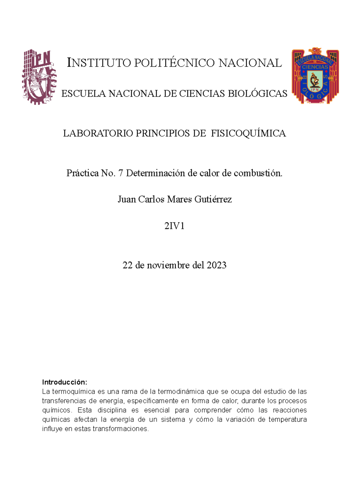 Práctica 7 - Determinacion del calor de combustión - INSTITUTO ...