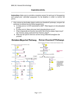 Stem Cells - Summary Systems of Biology - Disclaimer: This is a machine ...