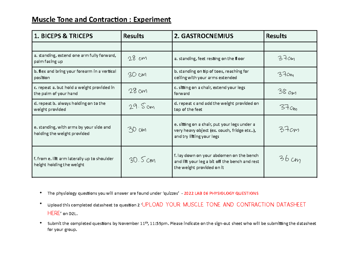 Lab 6 Muscle Tone and Contraction physiology experiment - Muscle Tone ...
