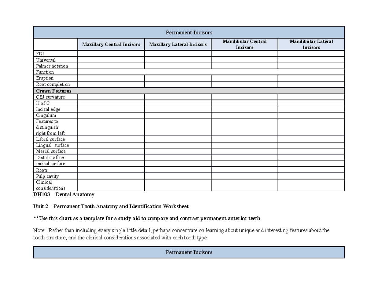 DH103-Unit2A-Permanent Anterior Teeth (worksheet) - Permanent Incisors ...