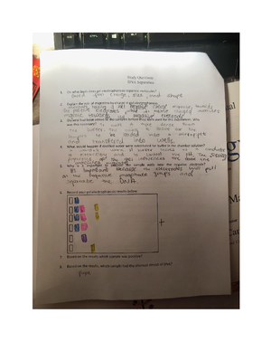 cellular respiration case study TILT - Mystery of the Seven Deaths Case ...