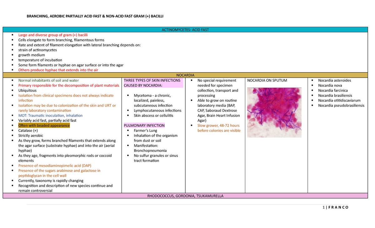 3. Branching, Aerobic Partially ACID FAST & NON-ACID FAST GRAM ...