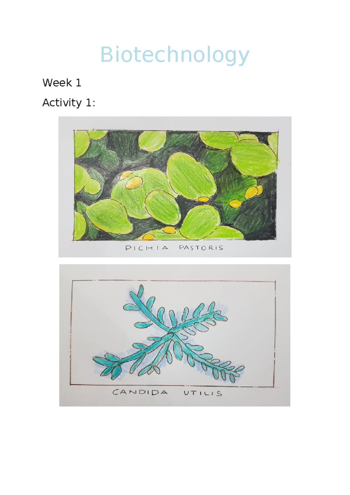 biotechnology q3 week1 - Biotechnology Week 1 Activity 1: Activity 2: ADVANTAGE S DISADVANTA GES ...
