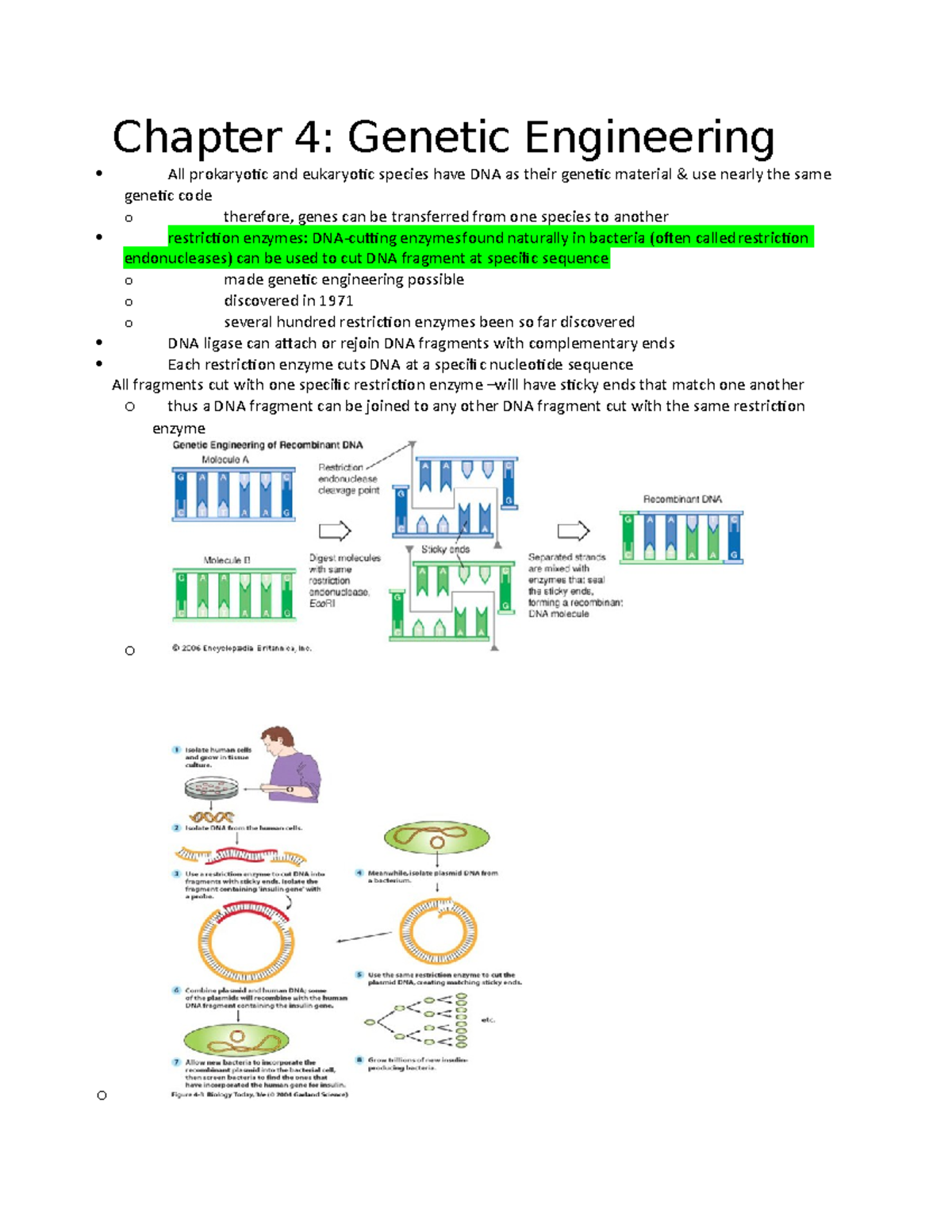 Chapter 4 Genetic Engineering - Chapter 4: Genetic Engineering All ...