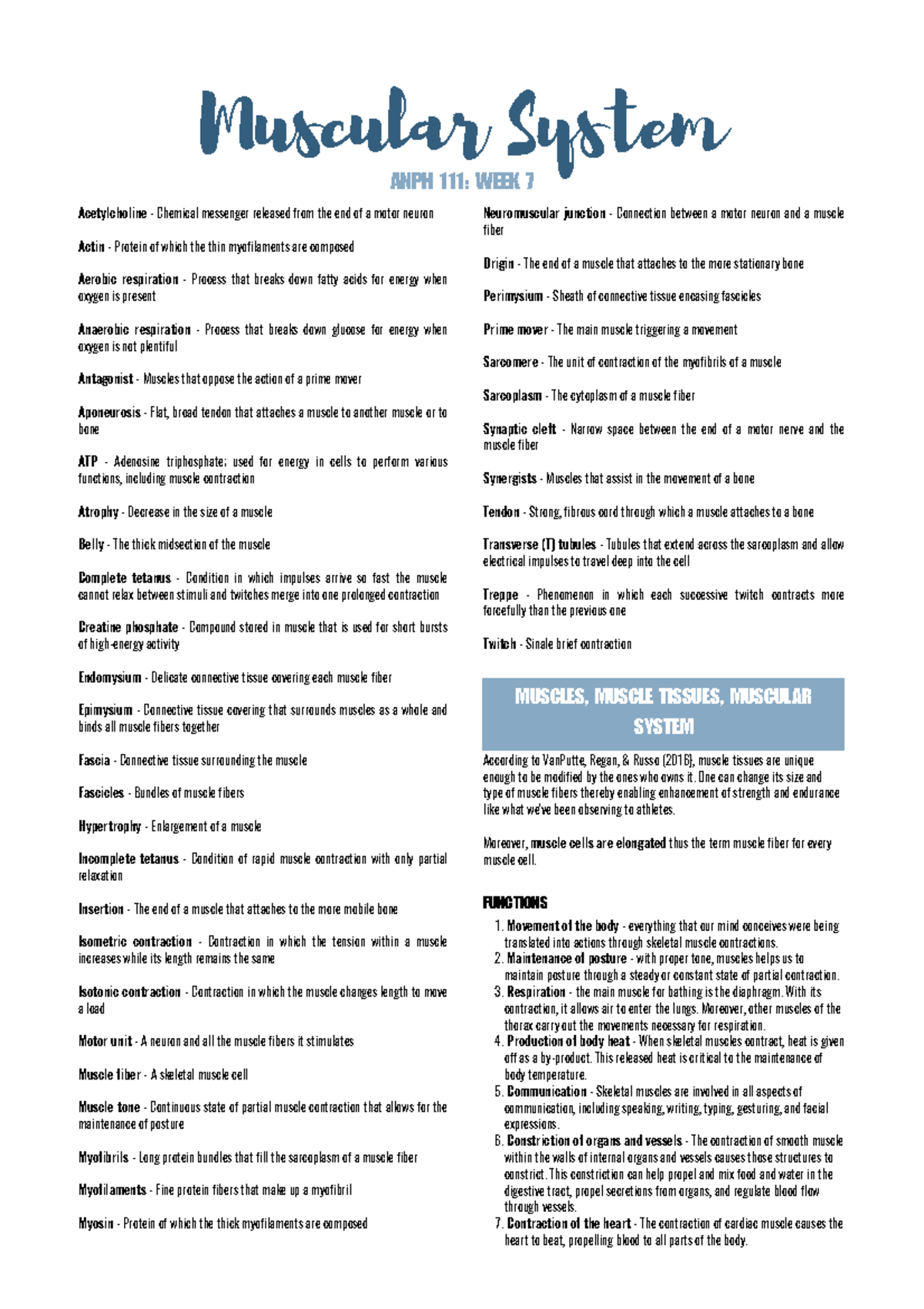 Muscular-System - Acetylcholine - Chemical messenger released from the ...