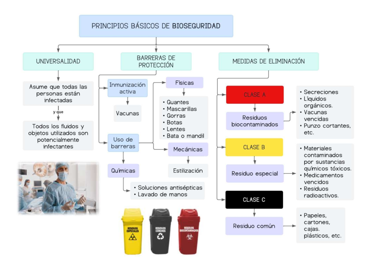 Principios Basicos DE Bioseguridad - PRINCIPIOS BÁSICOS DE BIOSEGURIDAD ...
