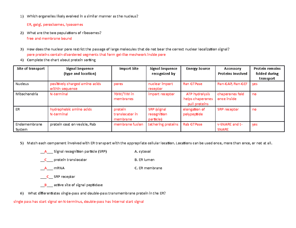 Chapter 15 Study Guide Answers - Which organelles likely evolved in a ...