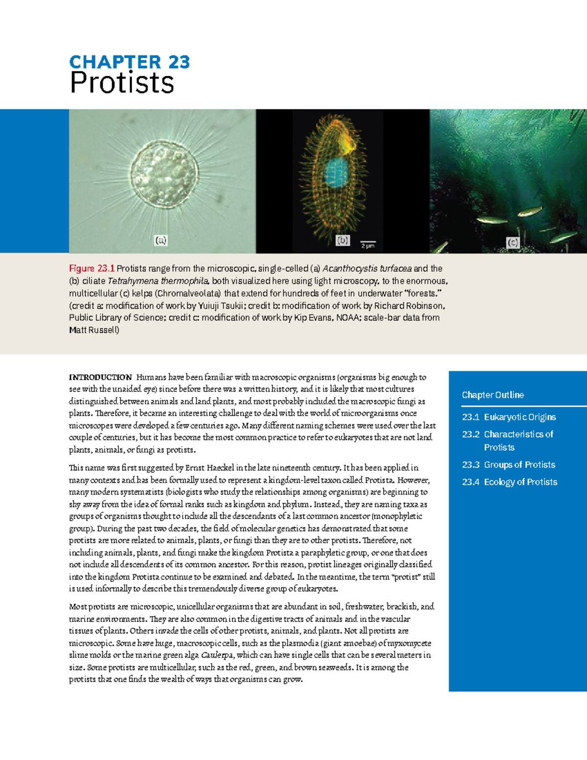 Protisis - It is part of the book - CHAPTER 23 Protists Figure 23 ...