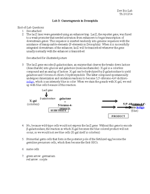 Lab 3 Journal Questions - Dev Bio Lab Th 2/12/15 Journal Article ...