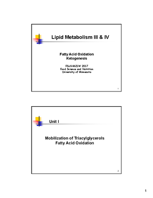 Semester Metabolism Notes - Overview of Protein and Amino Acid ...
