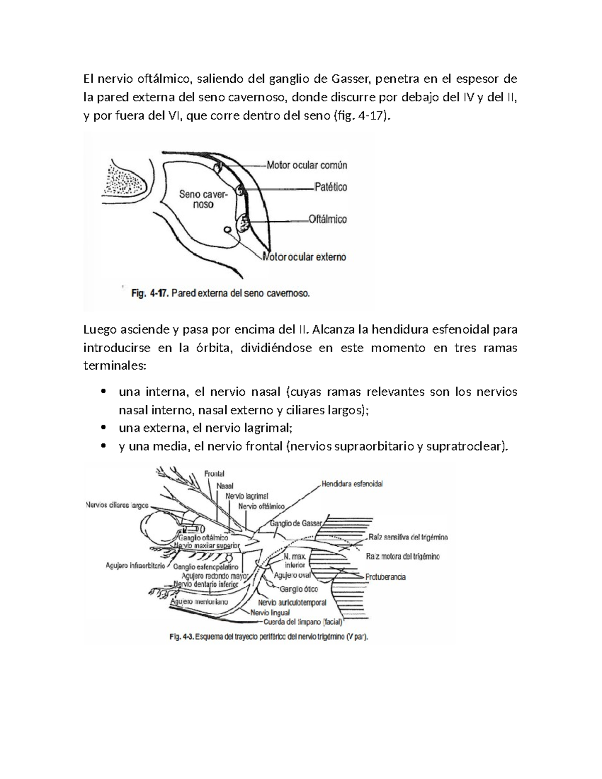 El nervio oftálmico - El nervio oftálmico, saliendo del ganglio de ...
