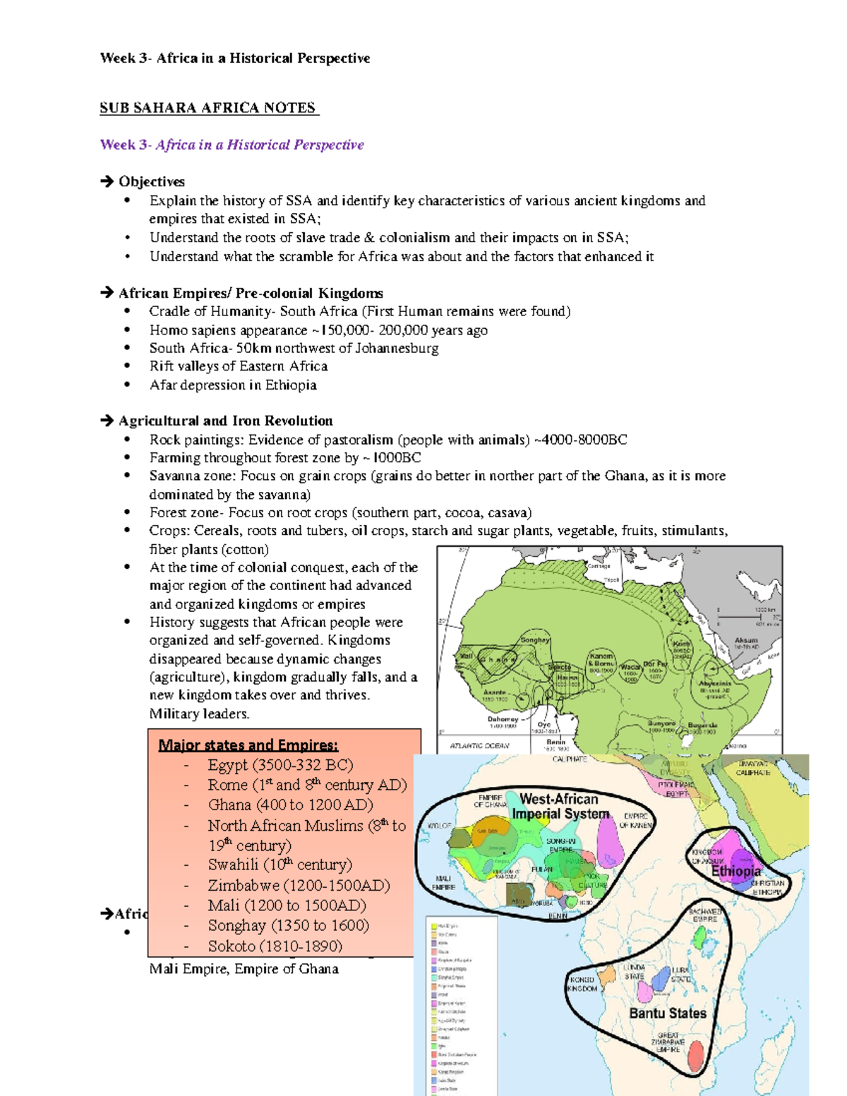 SUB Sahara Africa Notes - Week 3- Africa in a Historical Perspective ...