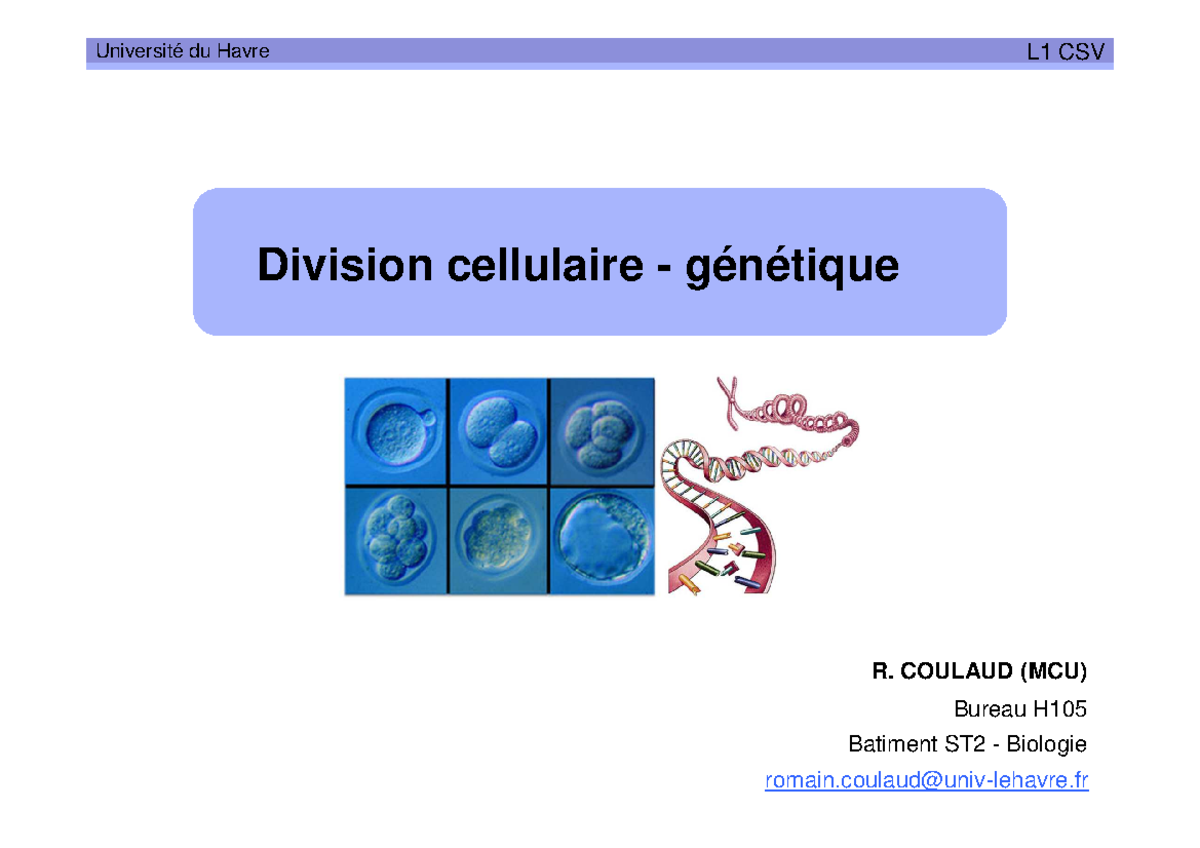 Cours div cel 1 - Division cellulaire et génétique - Université du ...