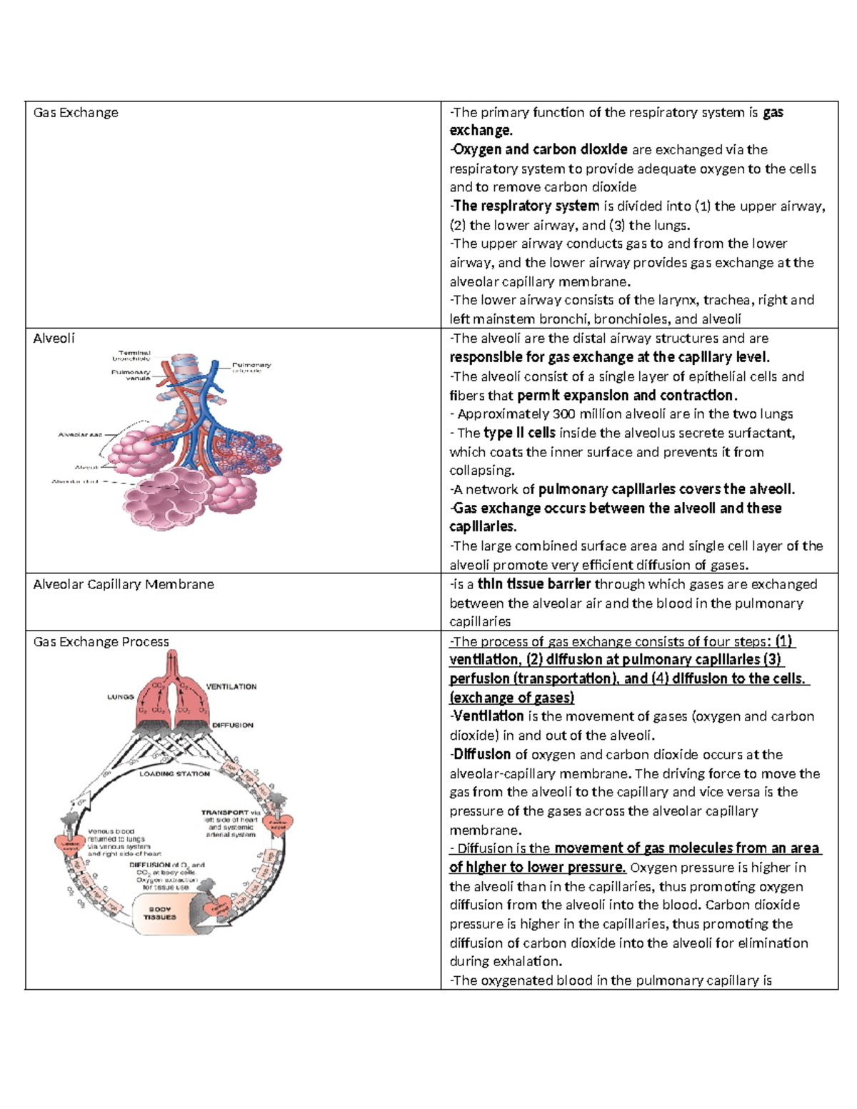 W4 review Impaired gas exchange, ARF and ARDS - Gas Exchange -The ...