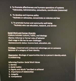 Intro To Social Work Important Terms Exam 1 - Chapter 1 Social ...