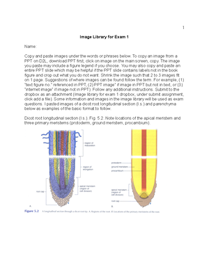Lab 3 Observing Osmosis in Chicken Eggs Answer Sheet - Observing ...