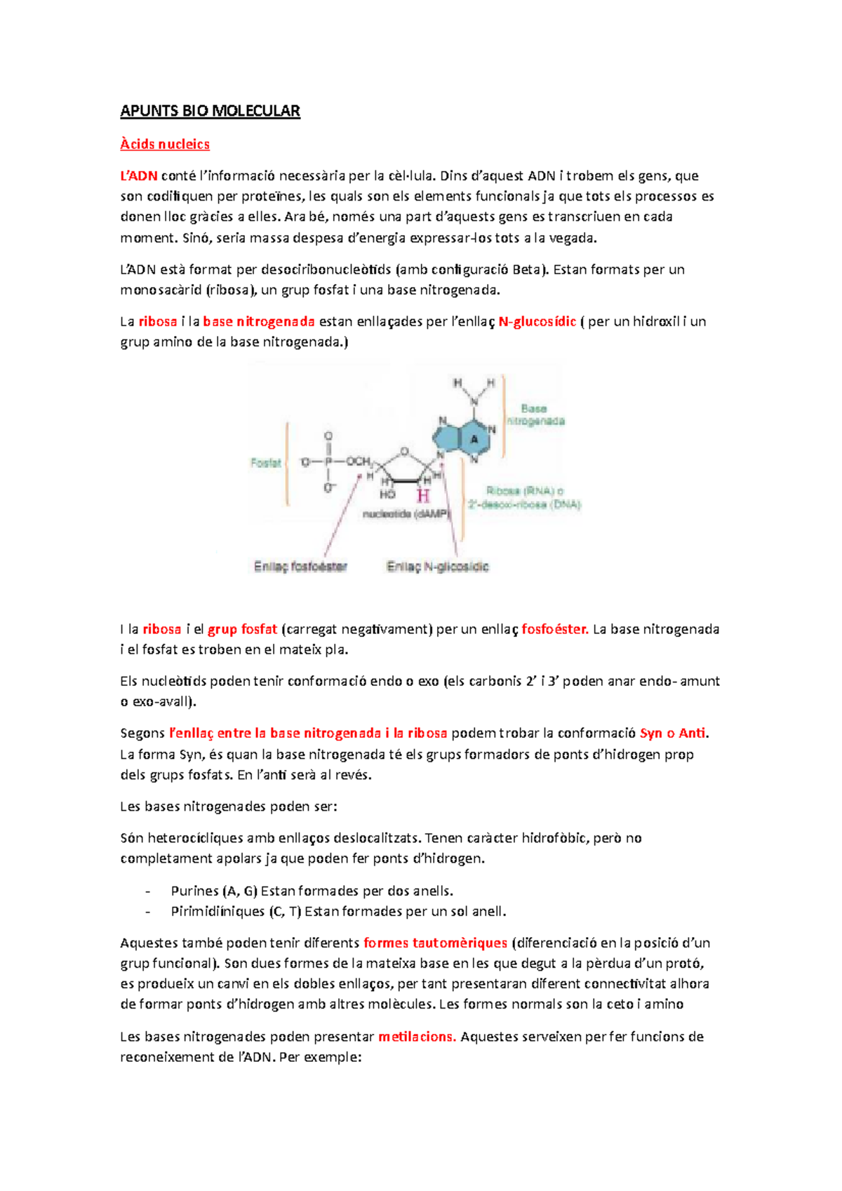 Apunts BIO Molecular biologia 3r UdG - APUNTS BIO MOLECULAR Àcids nucleics L’ADN conté l ...