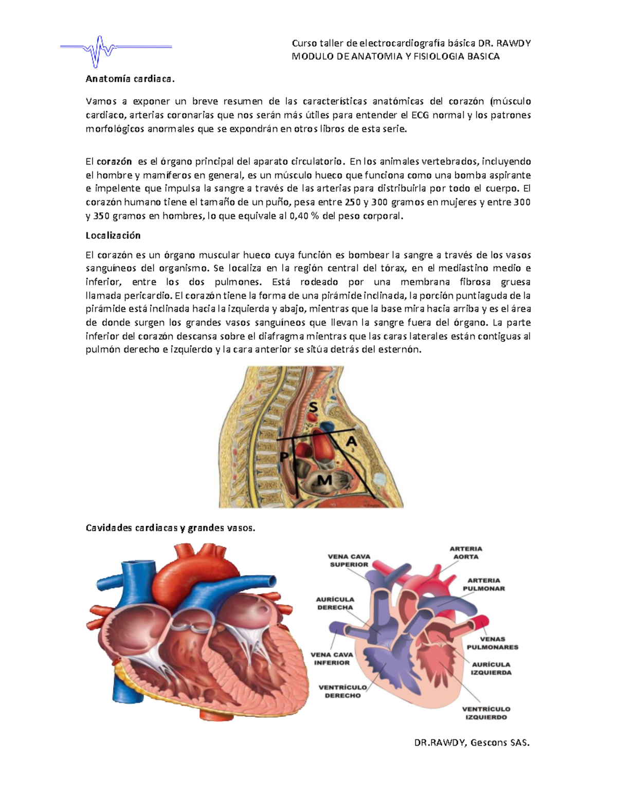 Trabajo EKG completo - Apuntes 12, 15 , 19 - MODULO DE ANATOMIA Y ...