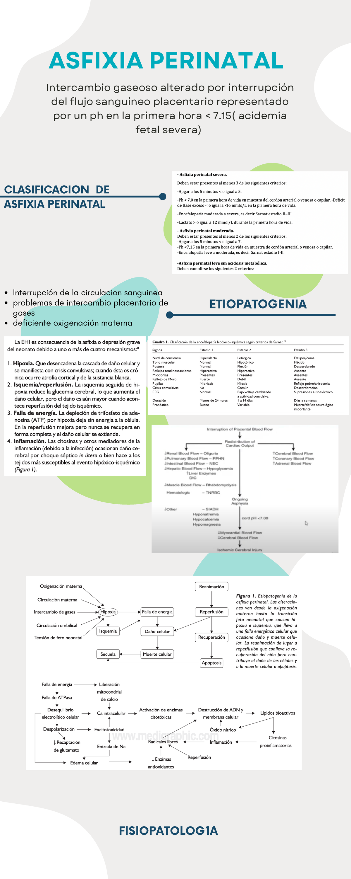 Infografía de datos-5 - CLASIFICACION DE ASFIXIA PERINATAL ...