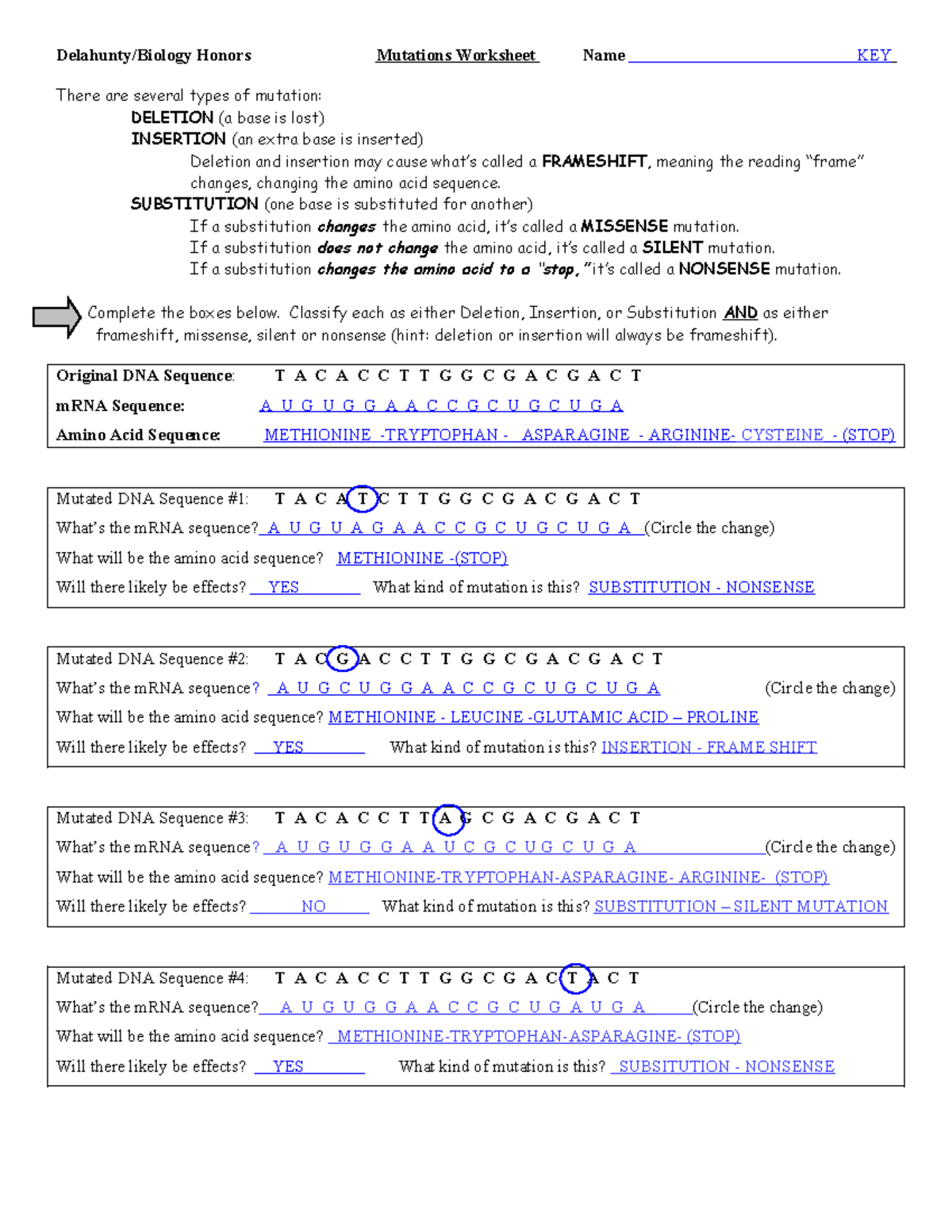 Mutations worksheet for grade 10 - Delahunty/Biology Honors Mutations ...