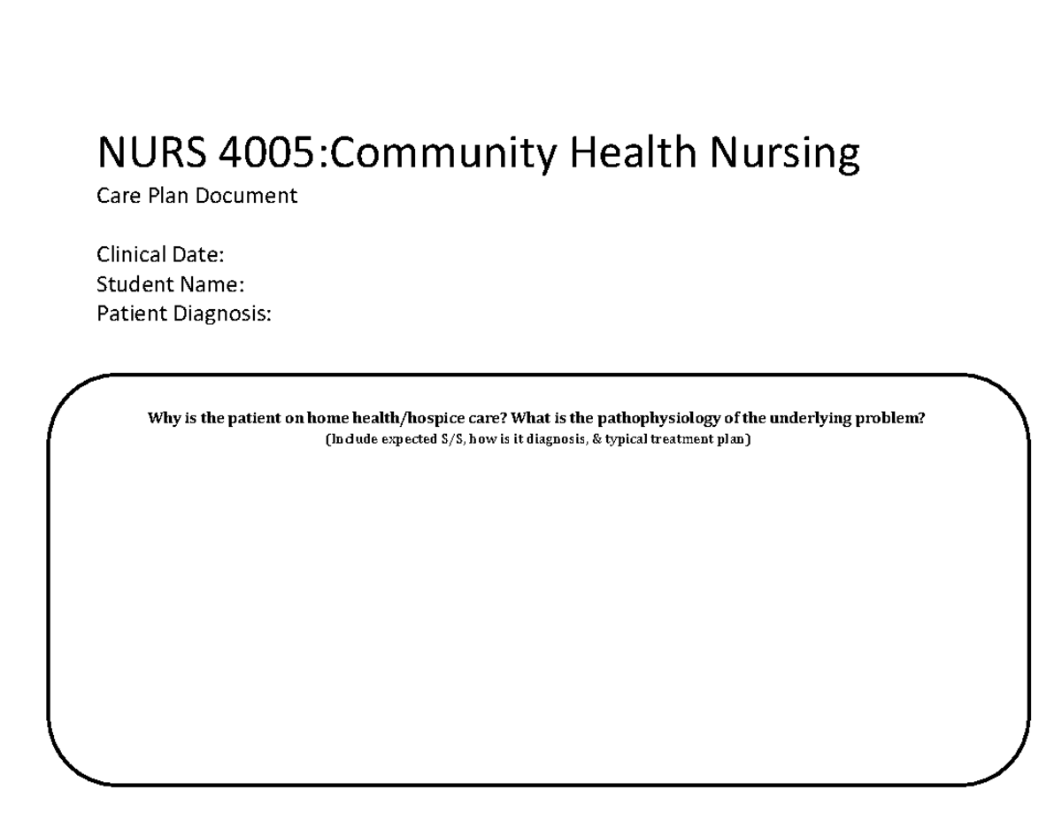 CH Care Plan Template - NURS 4005:Community Health Nursing Care Plan ...