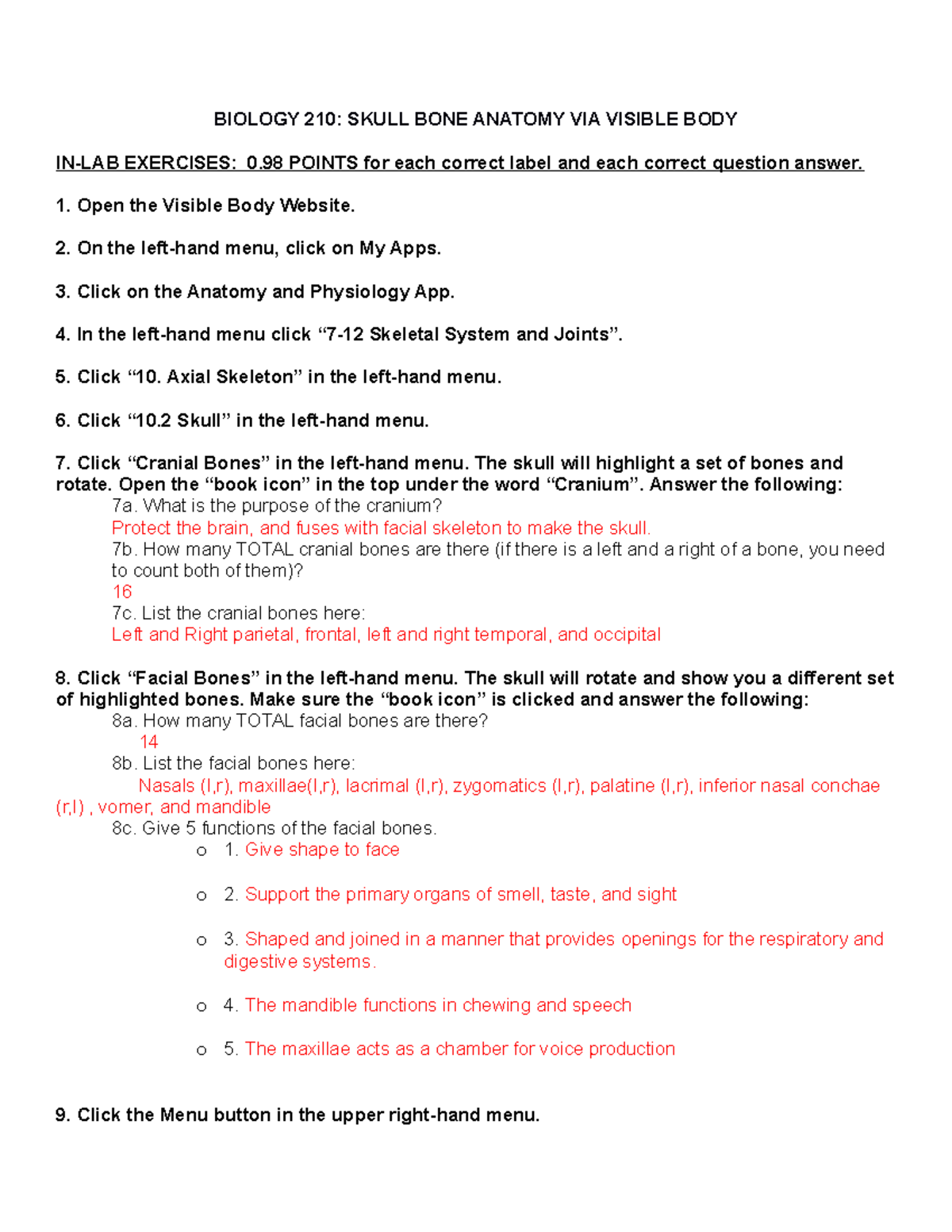 The Skull Completed - BIO211 - York Tech - Studocu