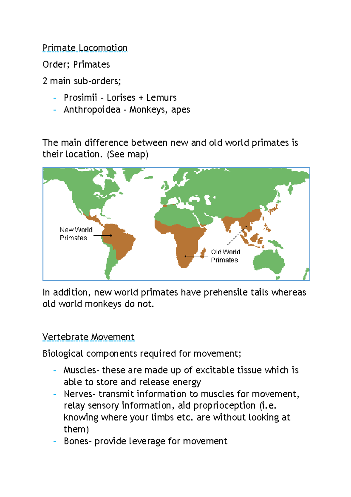 Primate Locomotion - Primate Locomotion Order; Primates 2 main sub ...