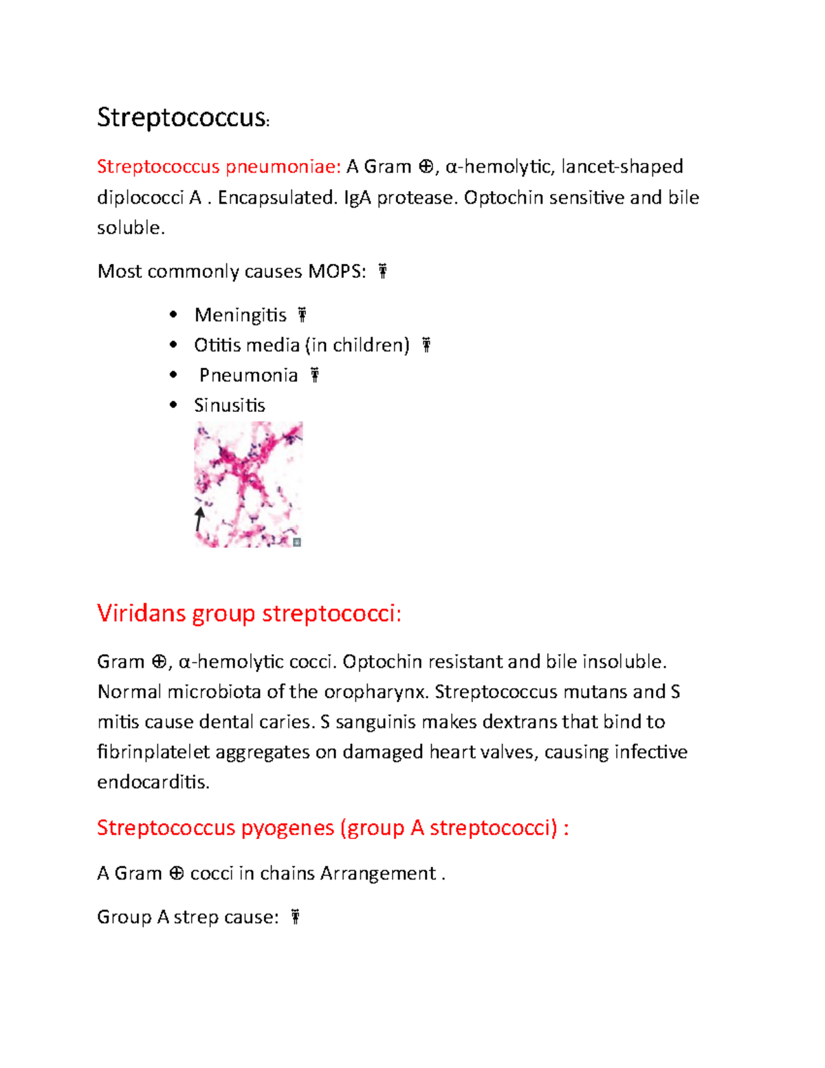Streptococcus - same as above. - Streptococcus: Streptococcus ...