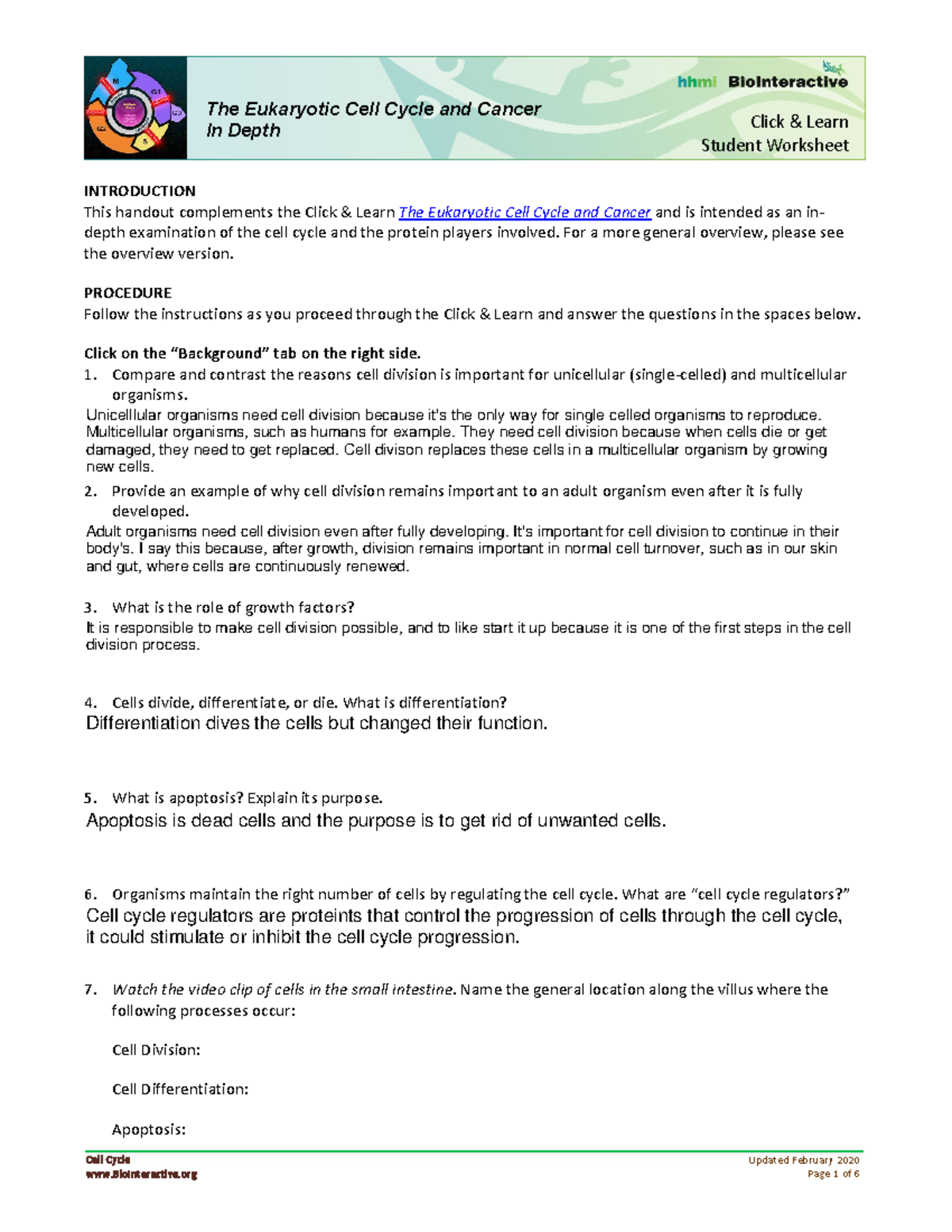 Cell Cycle In Depth-Student WS-CL - Click & Learn Student Worksheet The ...
