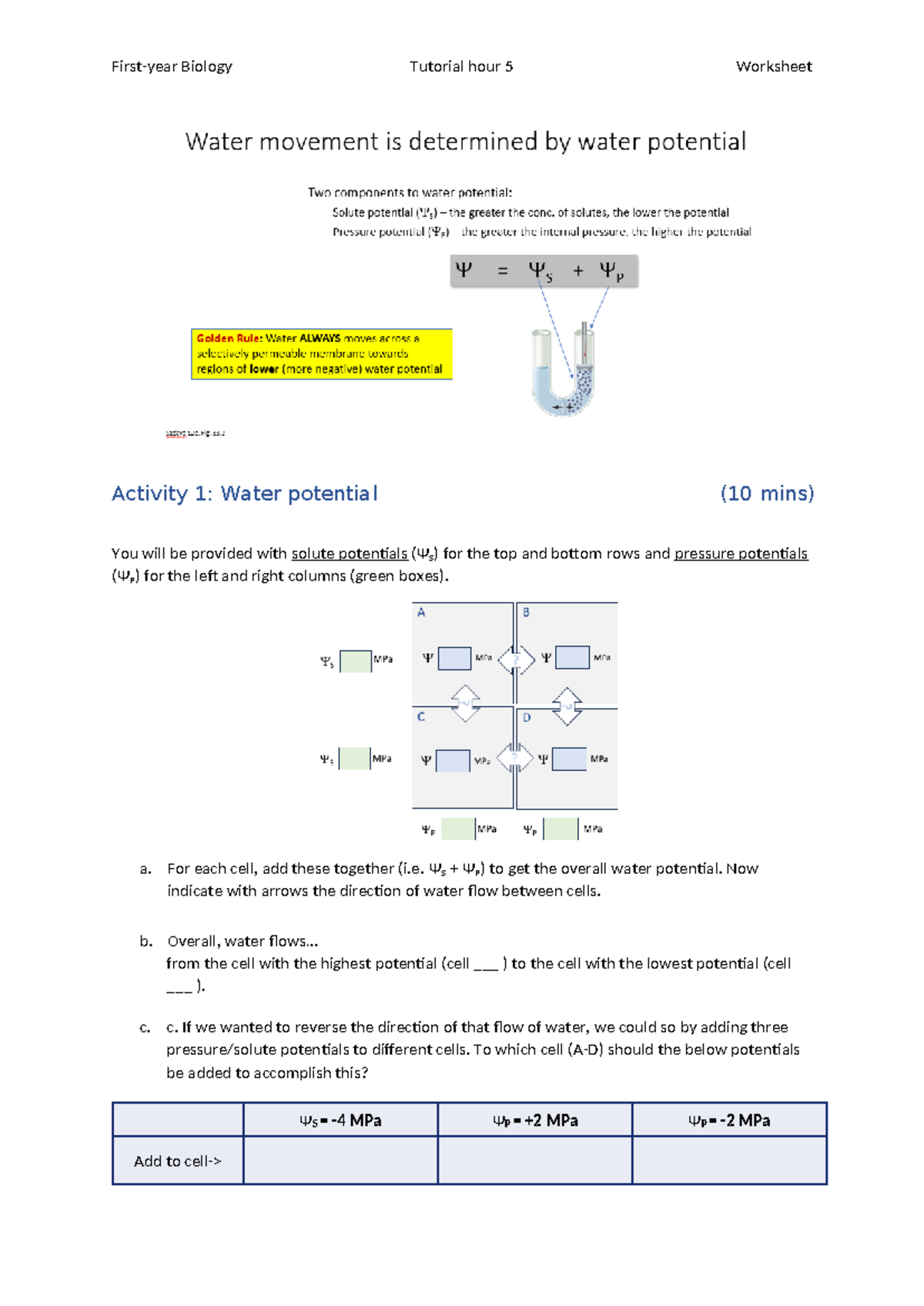 Tutorial+hour+5+-+worksheet - Activity 1: Water potential (10 mins) You ...