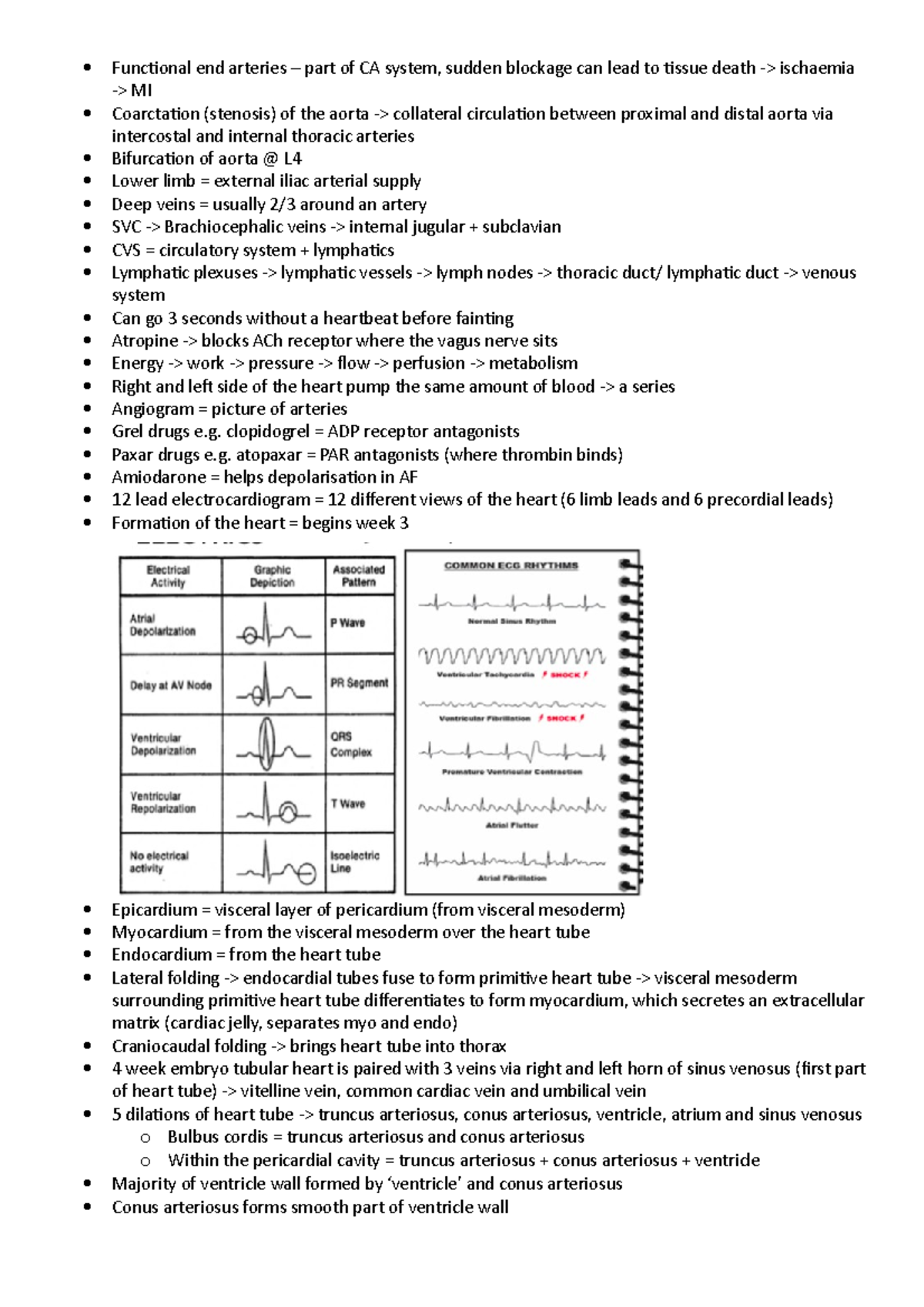 Cardio - Functional end arteries – part of CA system, sudden blockage ...