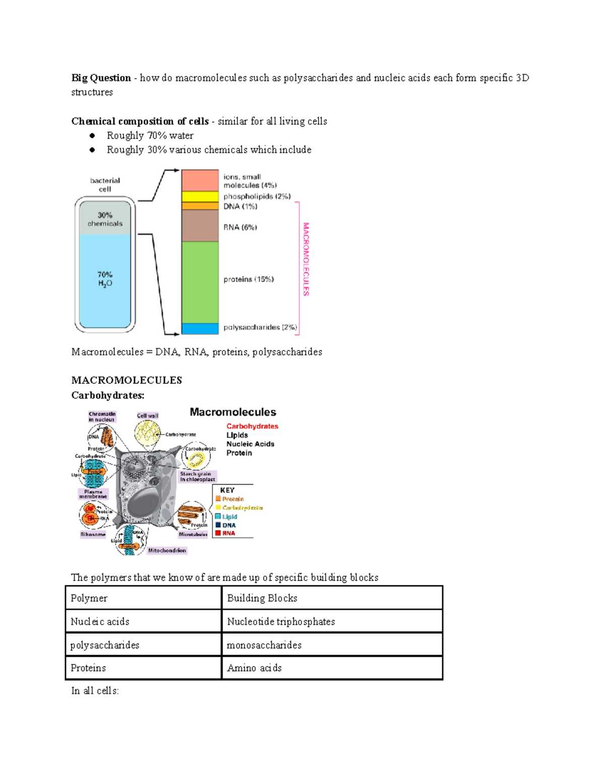Macromolecules Nucleic Acids