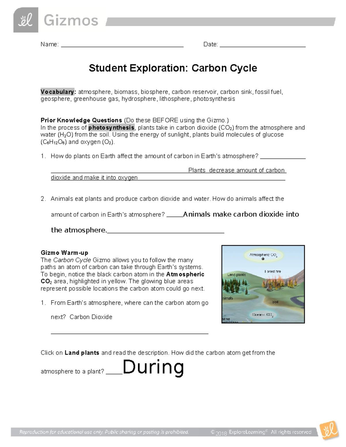 Carbon Cycle SE (1) - assignment - Name: Date: Student Exploration ...