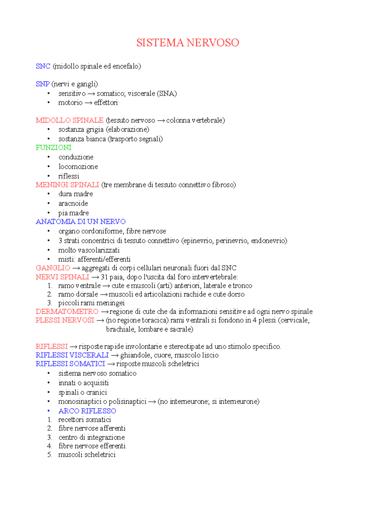 Sistema Nervoso - Anatomia - SISTEMA NERVOSO SNC (midollo spinale ed ...