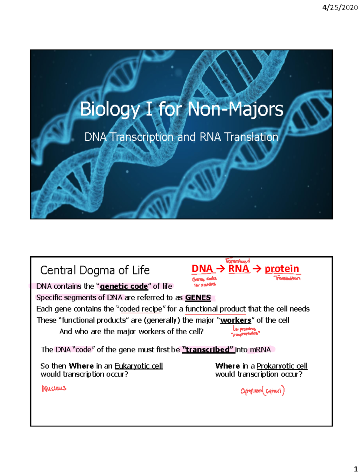 BIO 101 Mod 9 lecture slides - Biology I for Non-Majors DNA ...