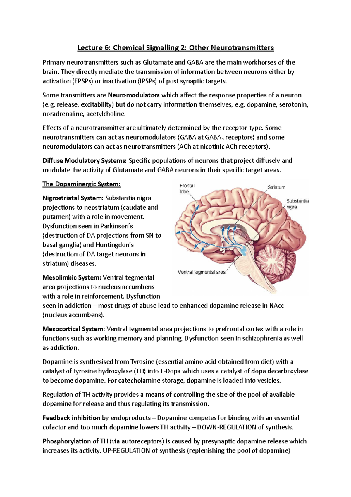 Bn B L6 Other Neurotransmitters - Lecture 6: Chemical Signalling 2 ...