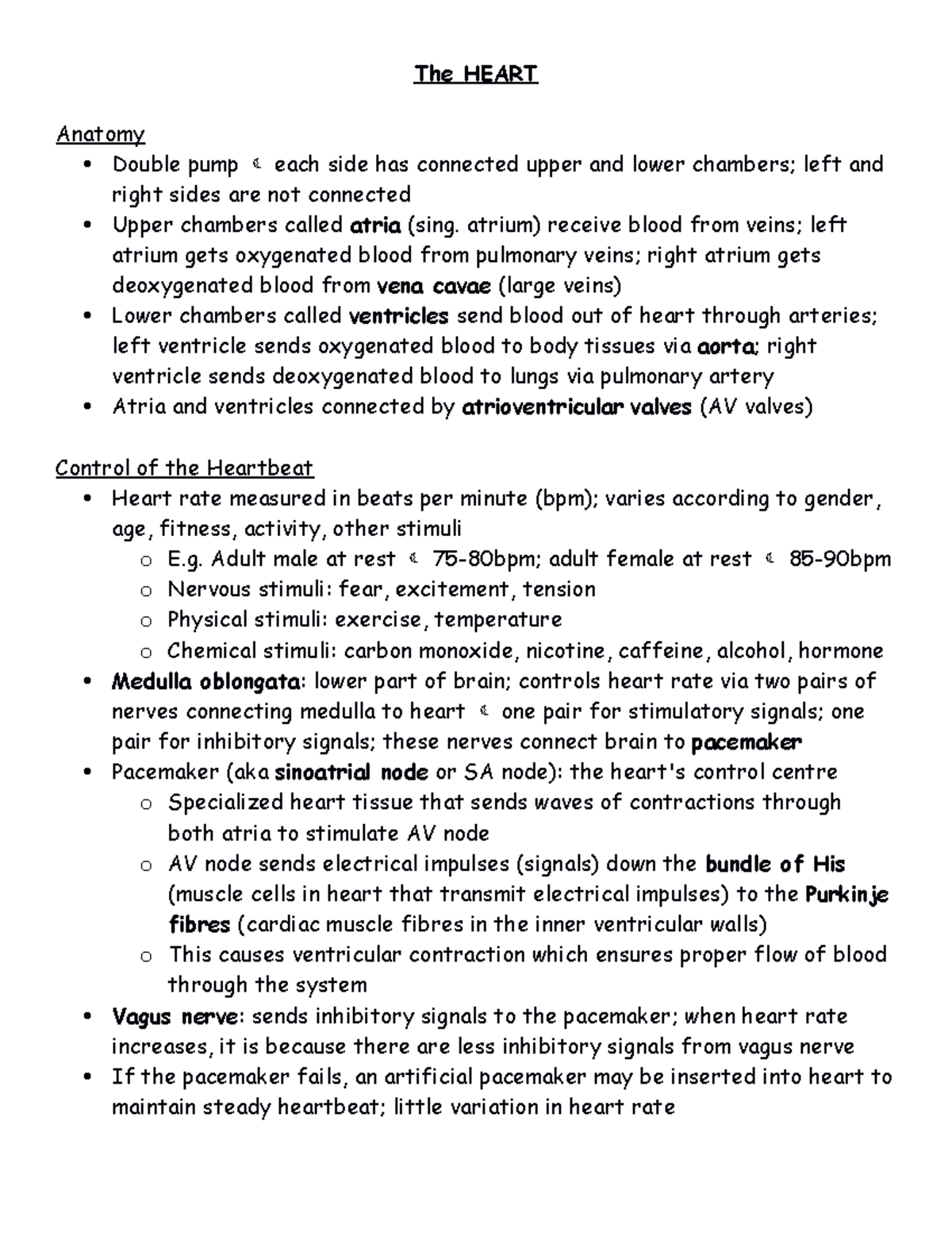 The Heart - important summary - The HEART Anatomy Double pump each side ...