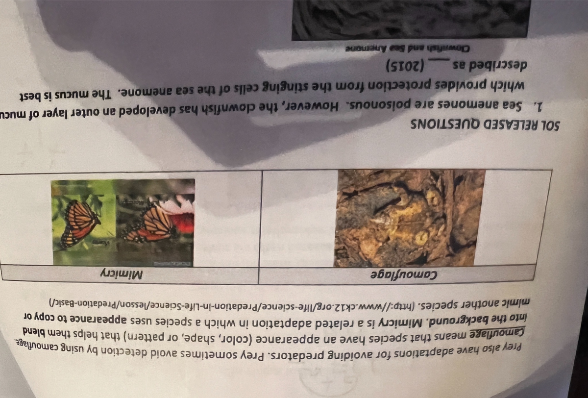 Doc by Scan Shot - notes - Studocu